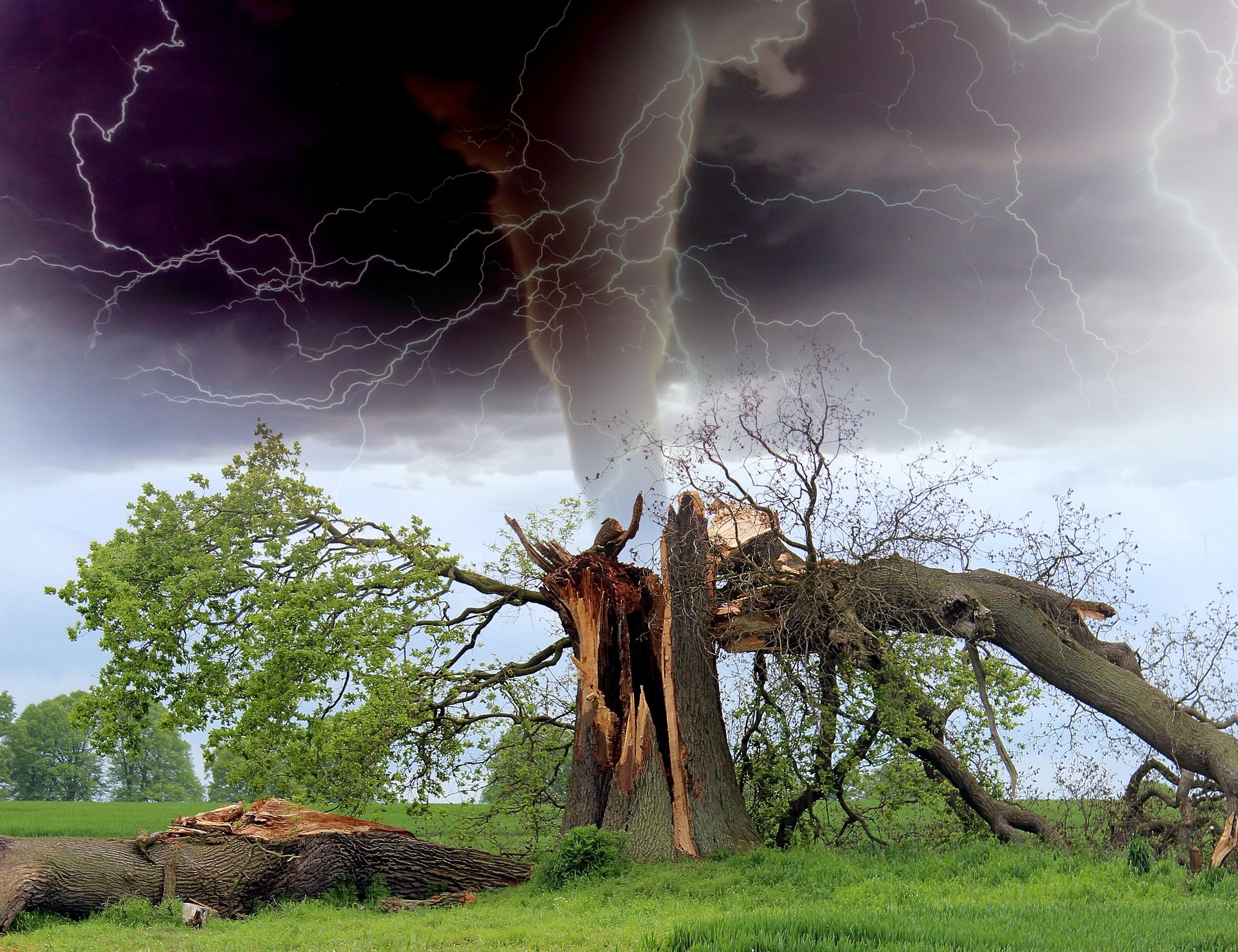 5 Tips to Protecting Your Home From Storm Damage
